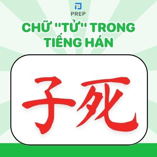 12 chữ Tử trong tiếng Hán: Cấu tạo, ý nghĩa, cách viết!