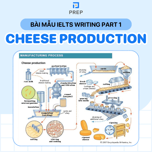 Bài mẫu IELTS Writing Task 1 Cheese Production band 8.0+