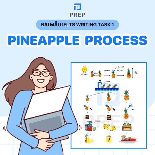 Bài mẫu IELTS Writing Task 1 Pineapple Process band 8.0+