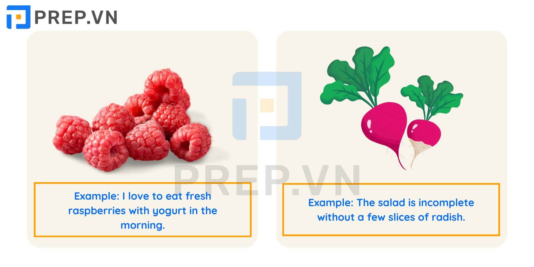 250+ từ vựng tiếng Anh bắt đầu bằng chữ R thông dụng nhất